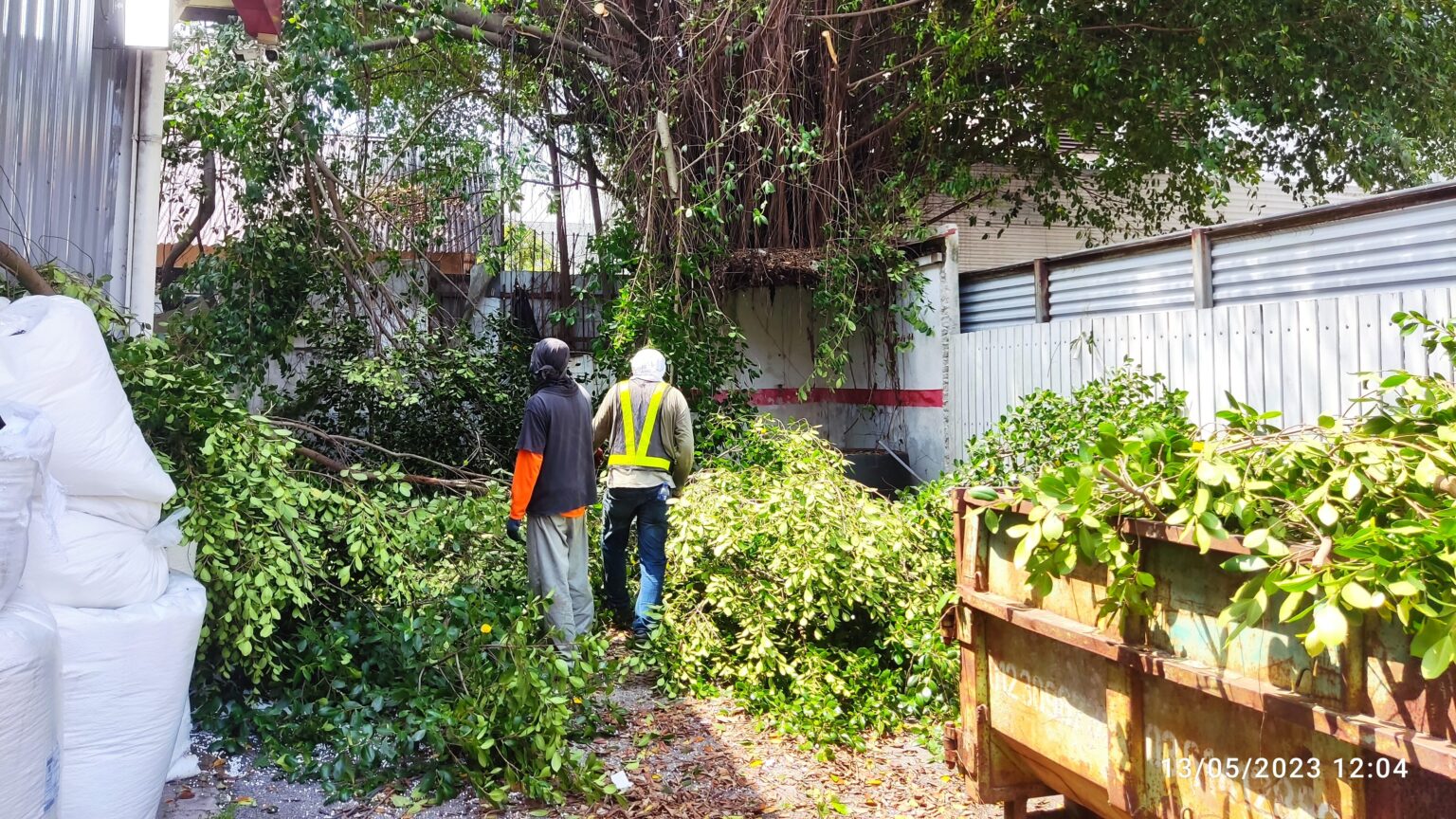 Think Landscape..think Us. MF Green Expert – Specialist Landscaping Services – Potong Tebang ...