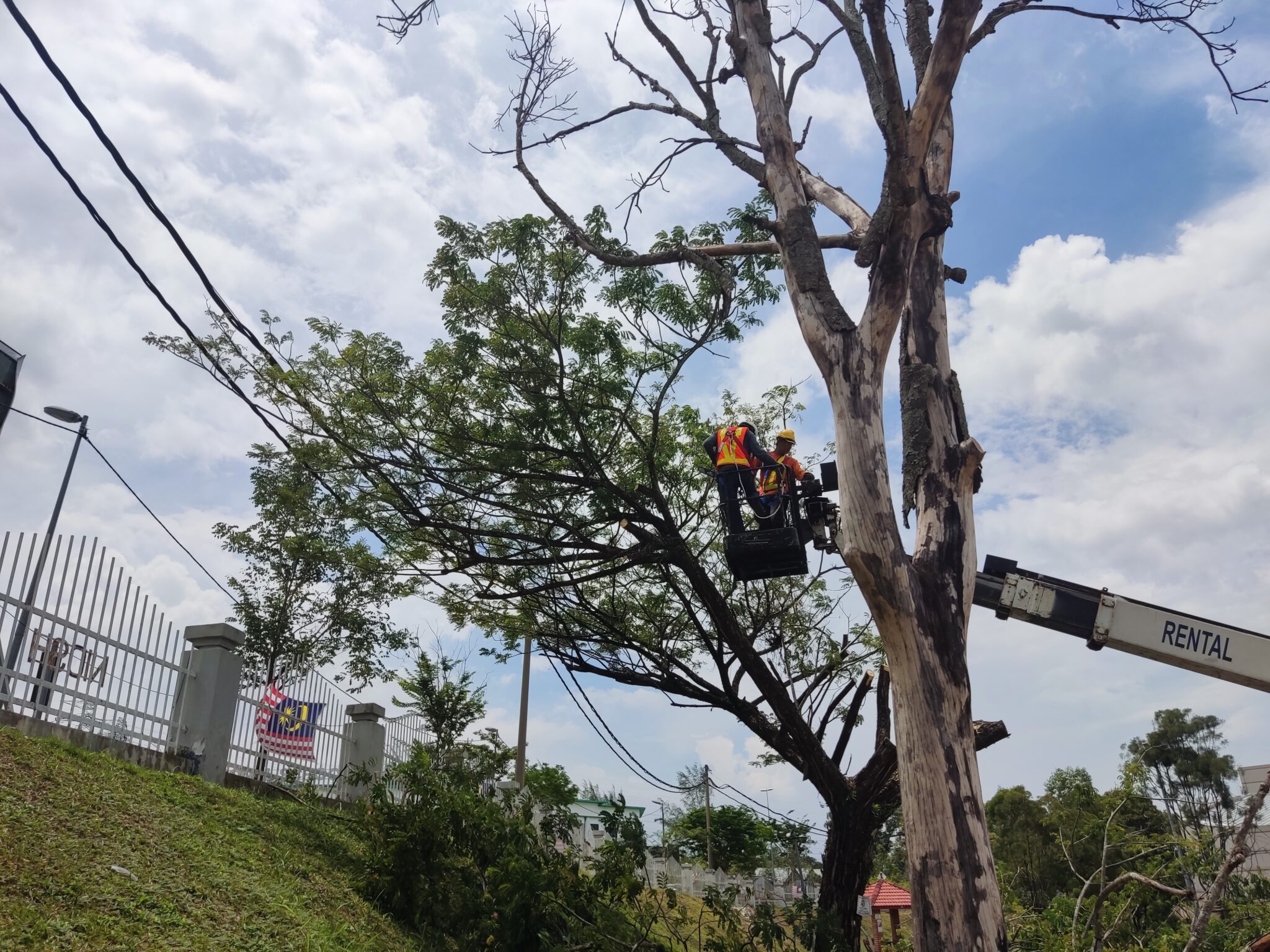 Think Landscape..think Us. MF Green Expert – Specialist Landscaping Services – Potong Tebang ...