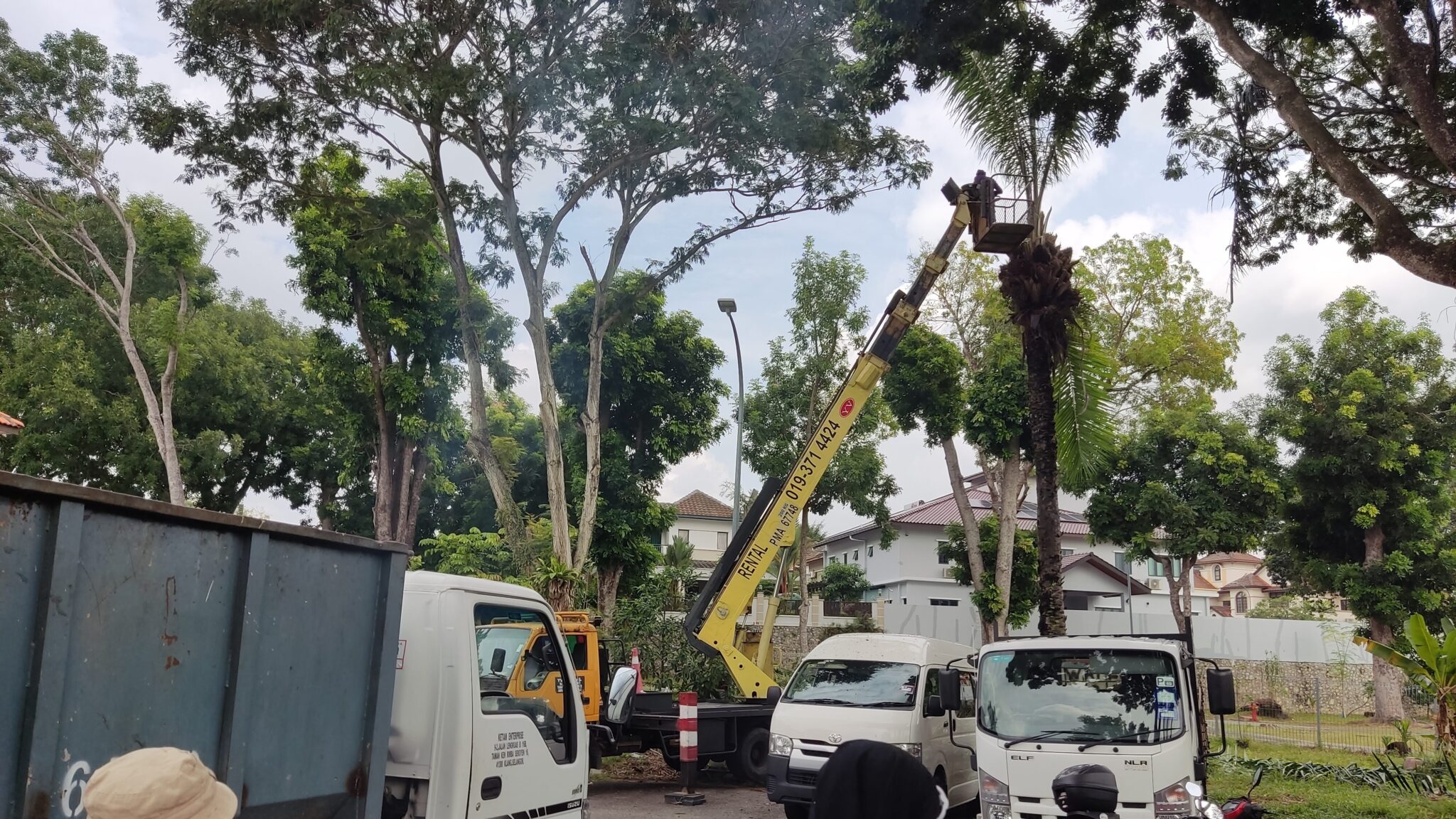 Think Landscape..think Us. MF Green Expert – Specialist Landscaping Services – Potong Tebang ...